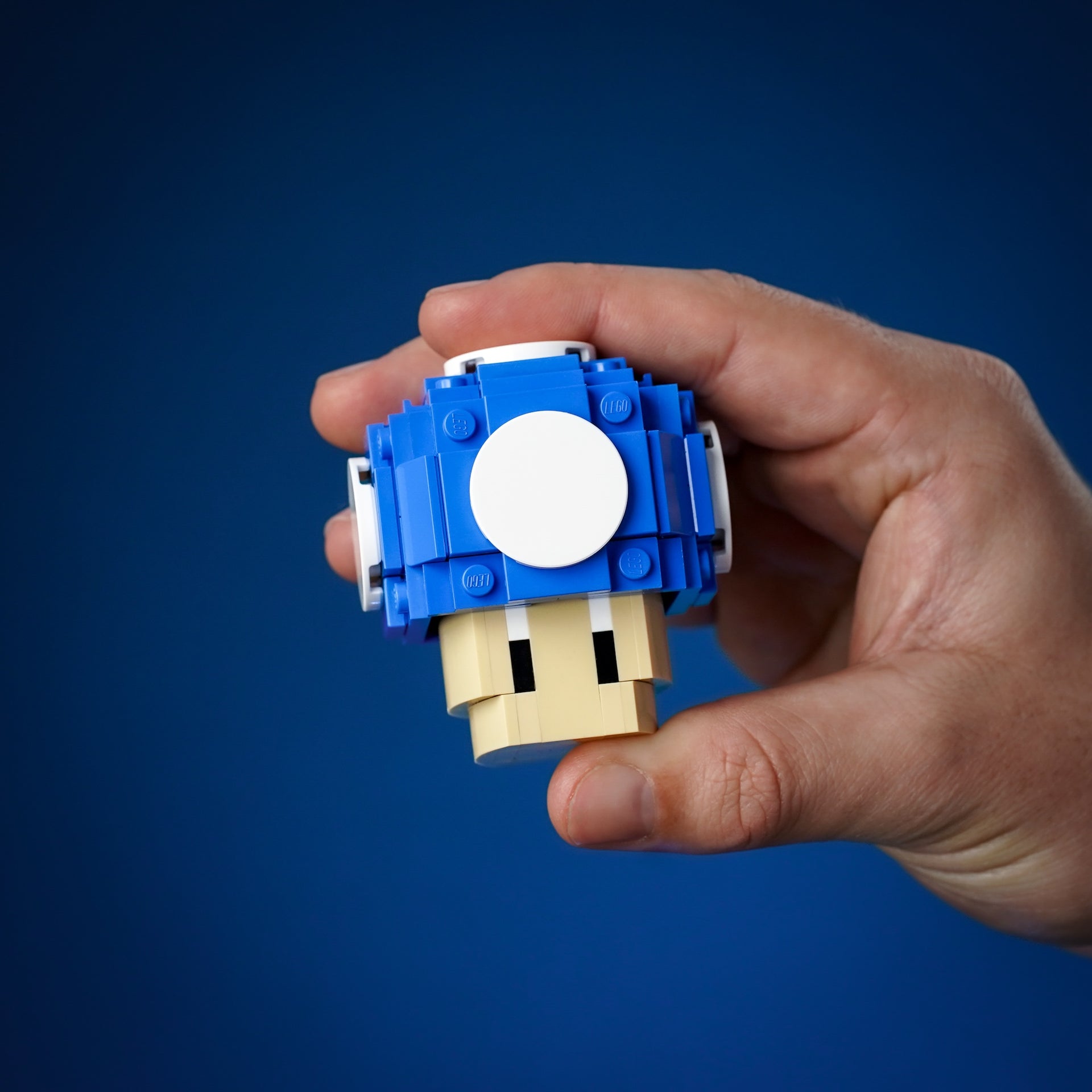 Bricker Builds | Engage your imagination, brick by brick!