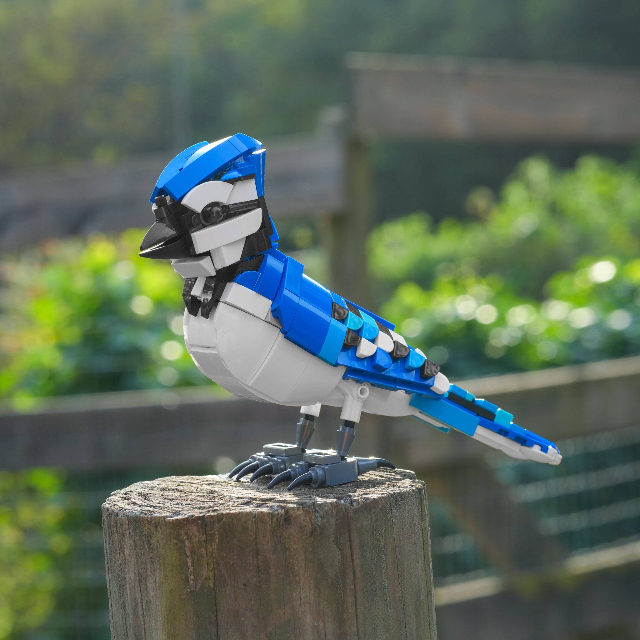 Blue Jay | Build it Yourself with LEGO® Bricks