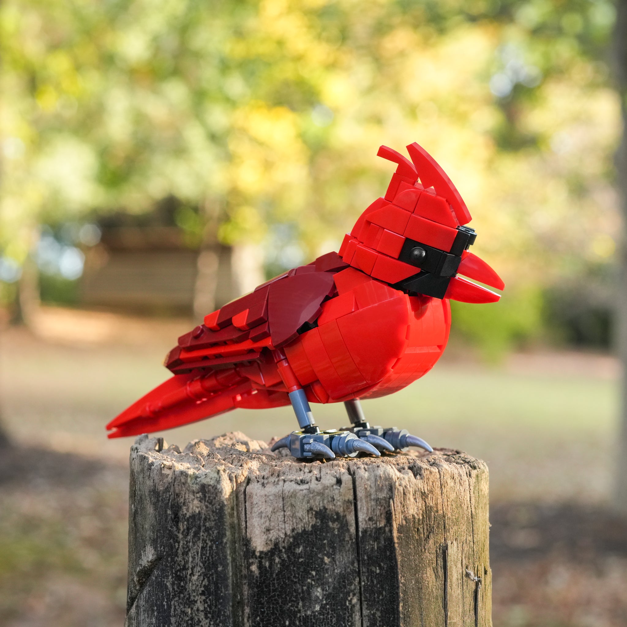 Cardinal | Build it Yourself with LEGO®