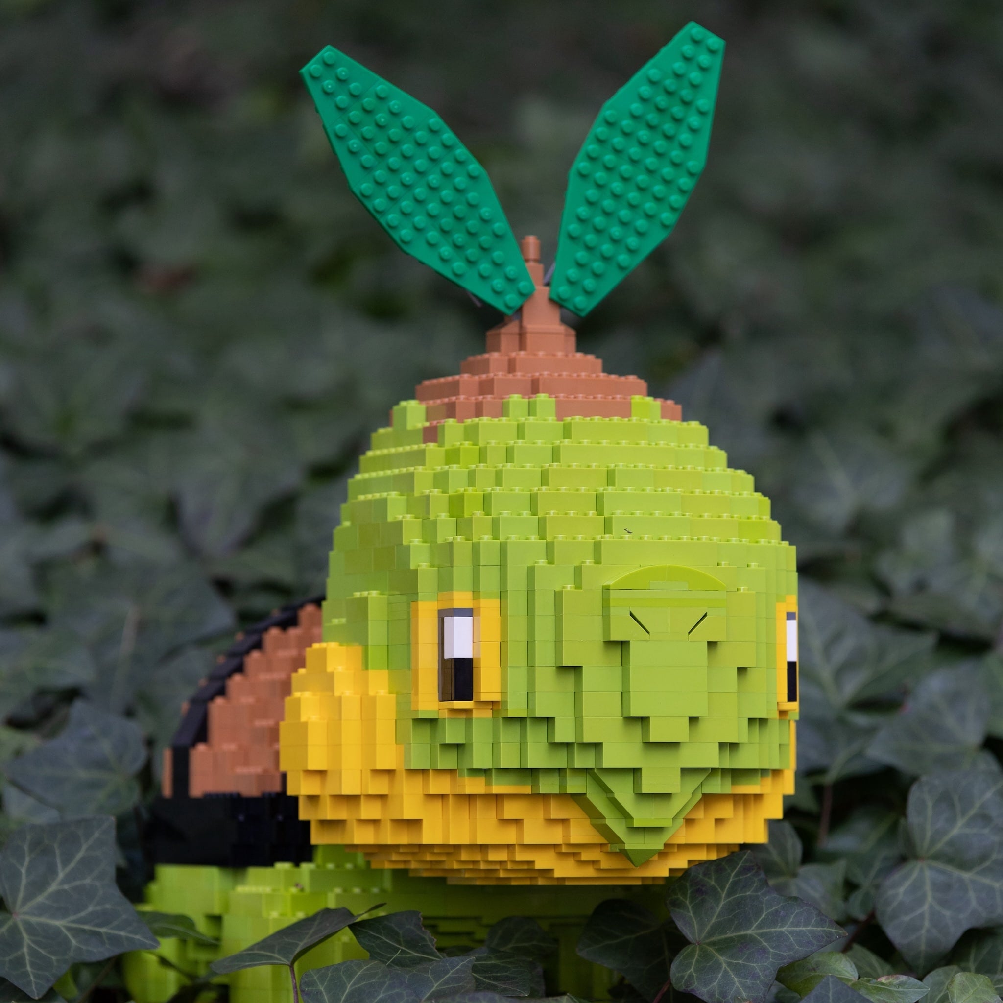 World Turtle Life-Sized Sculpture | Build it Yourself with LEGO®