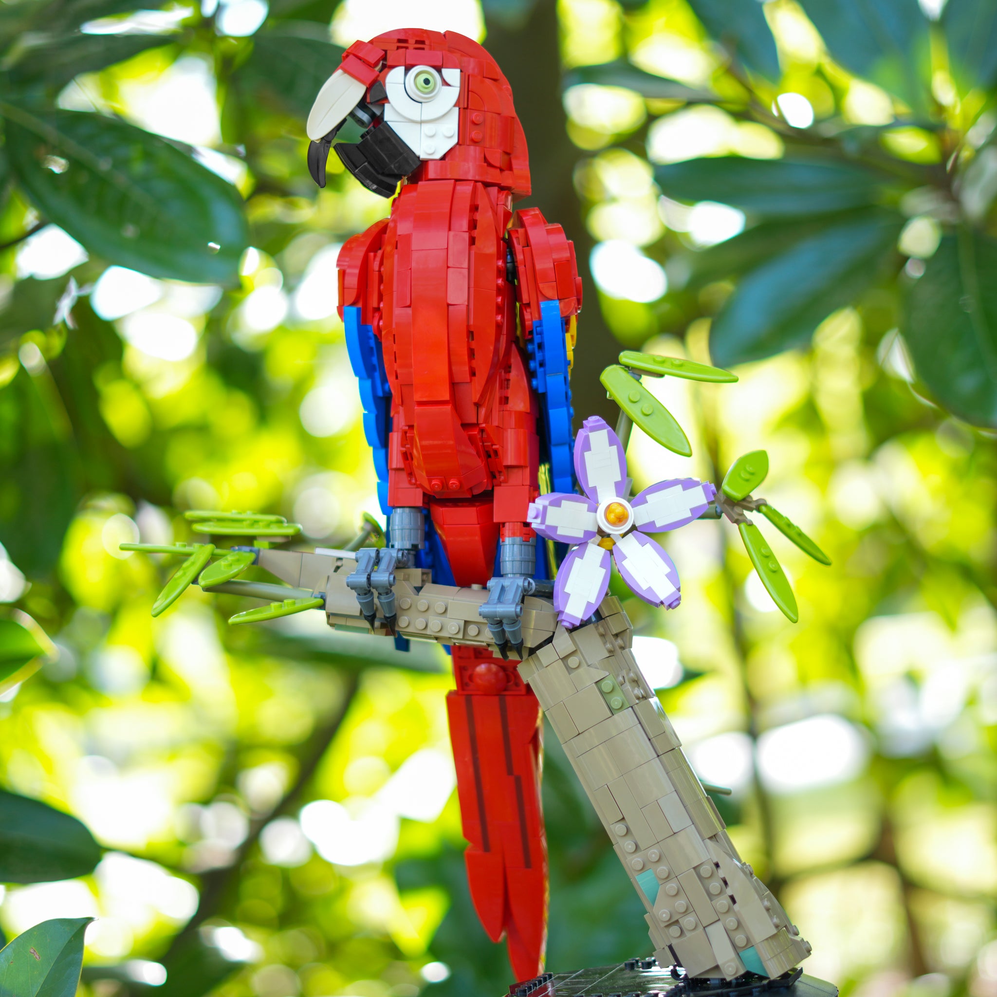 Scarlet Macaw | Build it Yourself with LEGO®